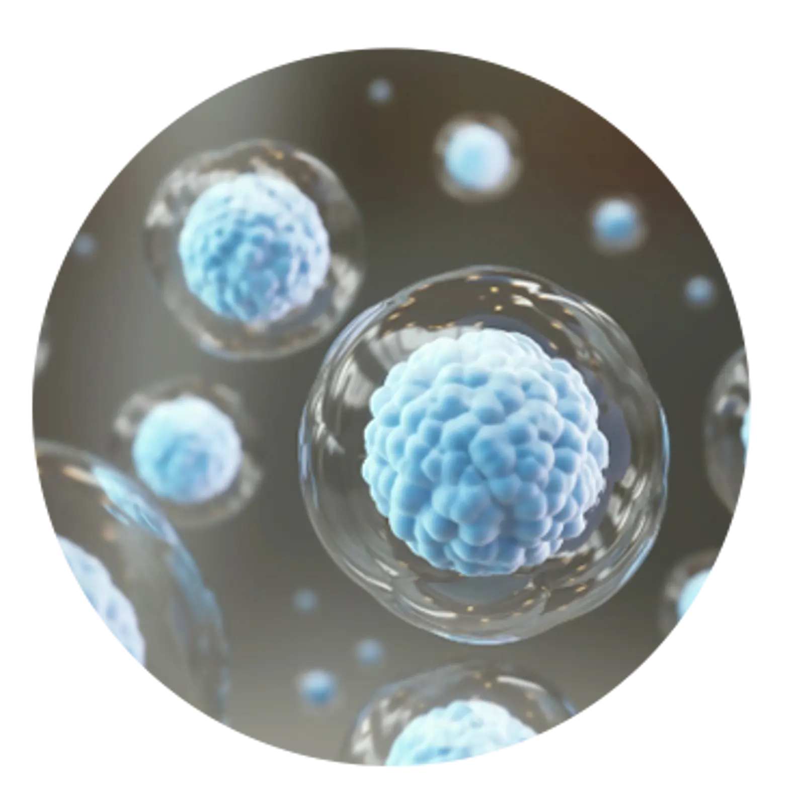 Next-generation microparticles for a healthier world | IamFluidics